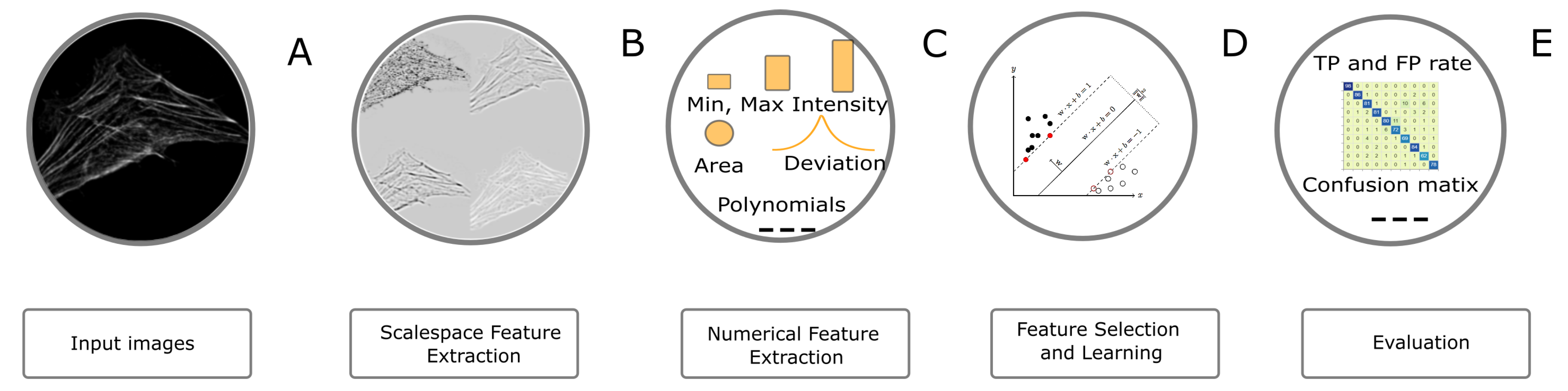 Brain Sciences | Free Full-Text | The Active Segmentation Platform for ...