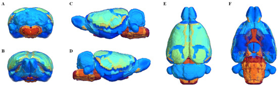 Deterministic Tractography Analysis of Rat Brain Using SIGMA Atlas in 9 ...