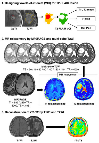 Prediction and Visualization of Non-Enhancing Tumor in Glioblastoma via ...