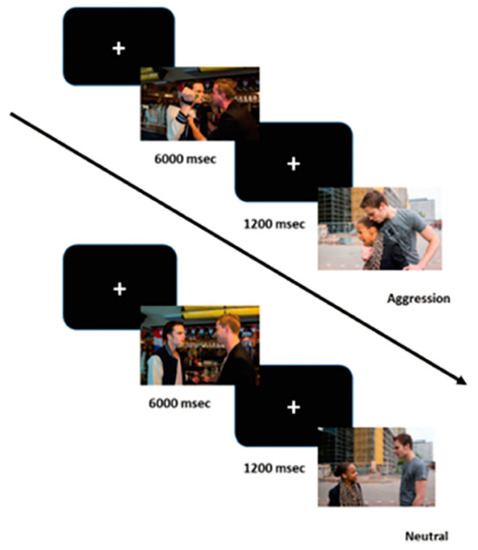 Brain Sciences | Free Full-Text | Neurobiological Responses towards ...