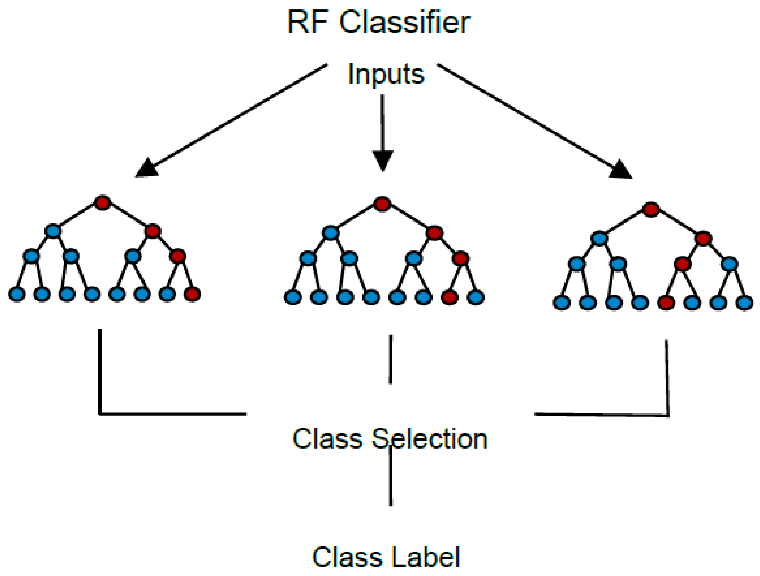 Brain Sciences | Free Full-Text | Semantic Feature Extraction Using ...