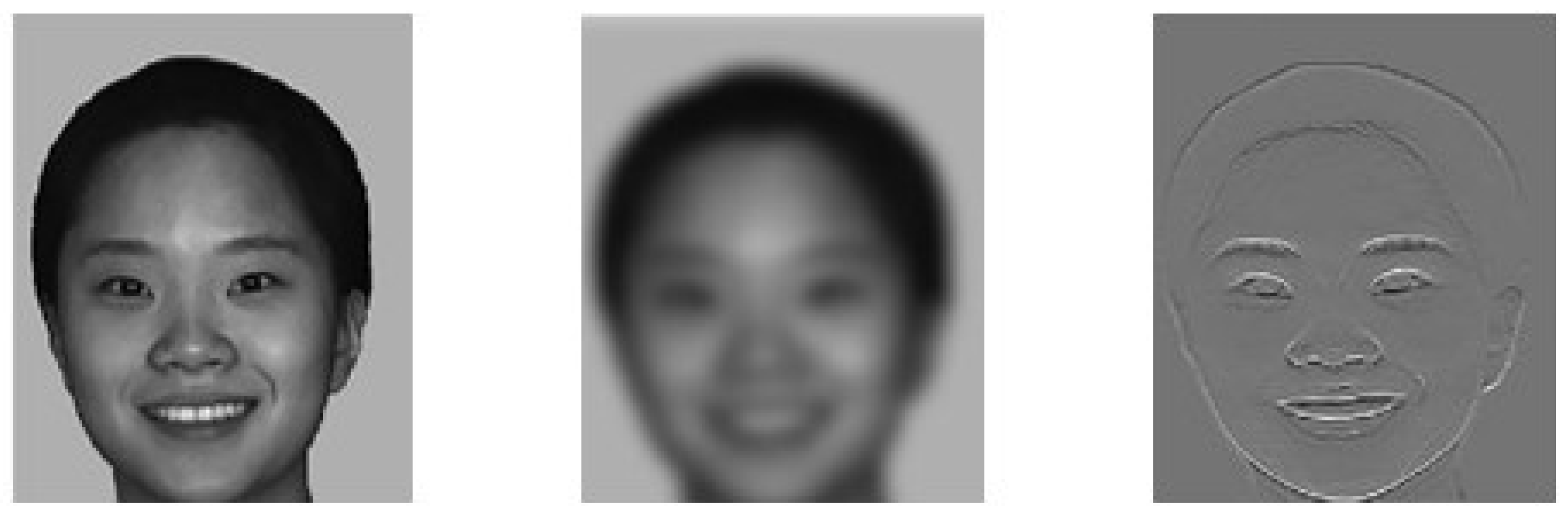 Eye Tracking Research on the Influence of Spatial Frequency and ...