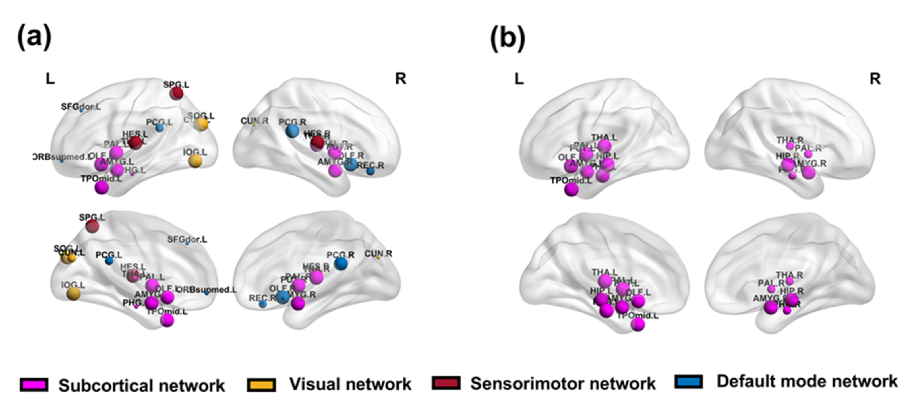 Functional Integration and Segregation in a Multilayer Network Model of ...