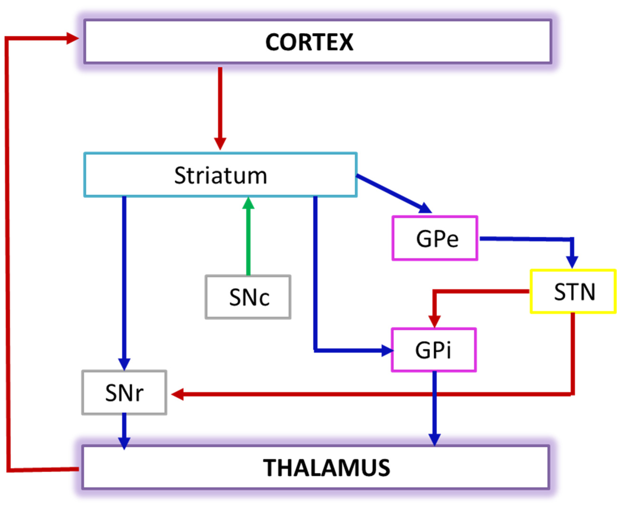 Brain Connectivity and Graph Theory Analysis in Alzheimer’s and ...