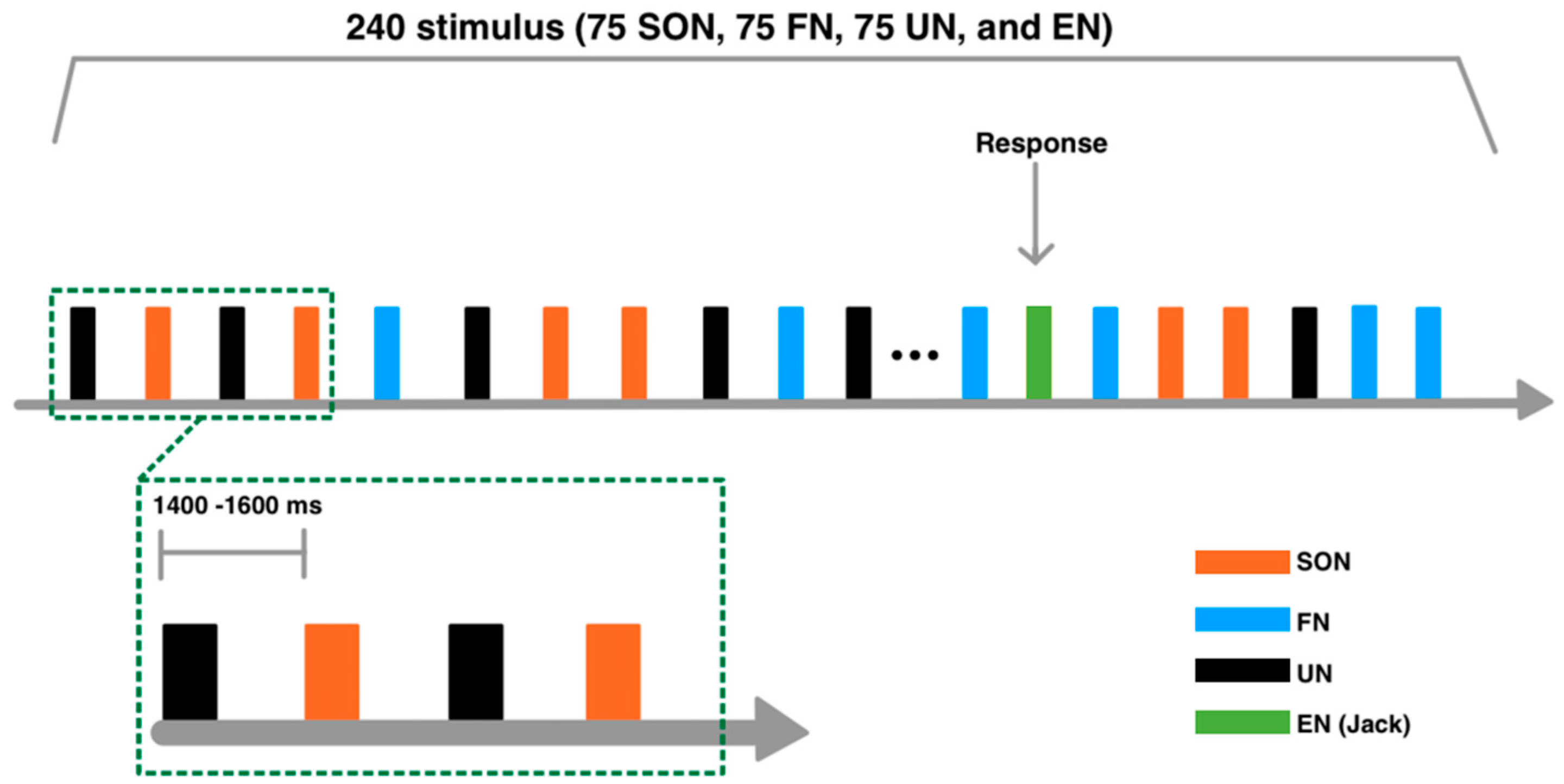 Stimulus Response Brain