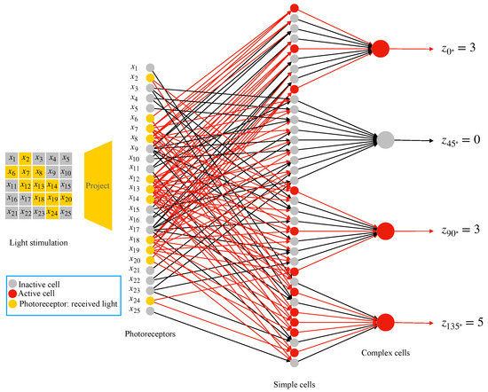 Brain Sciences | An Open Access Journal from MDPI