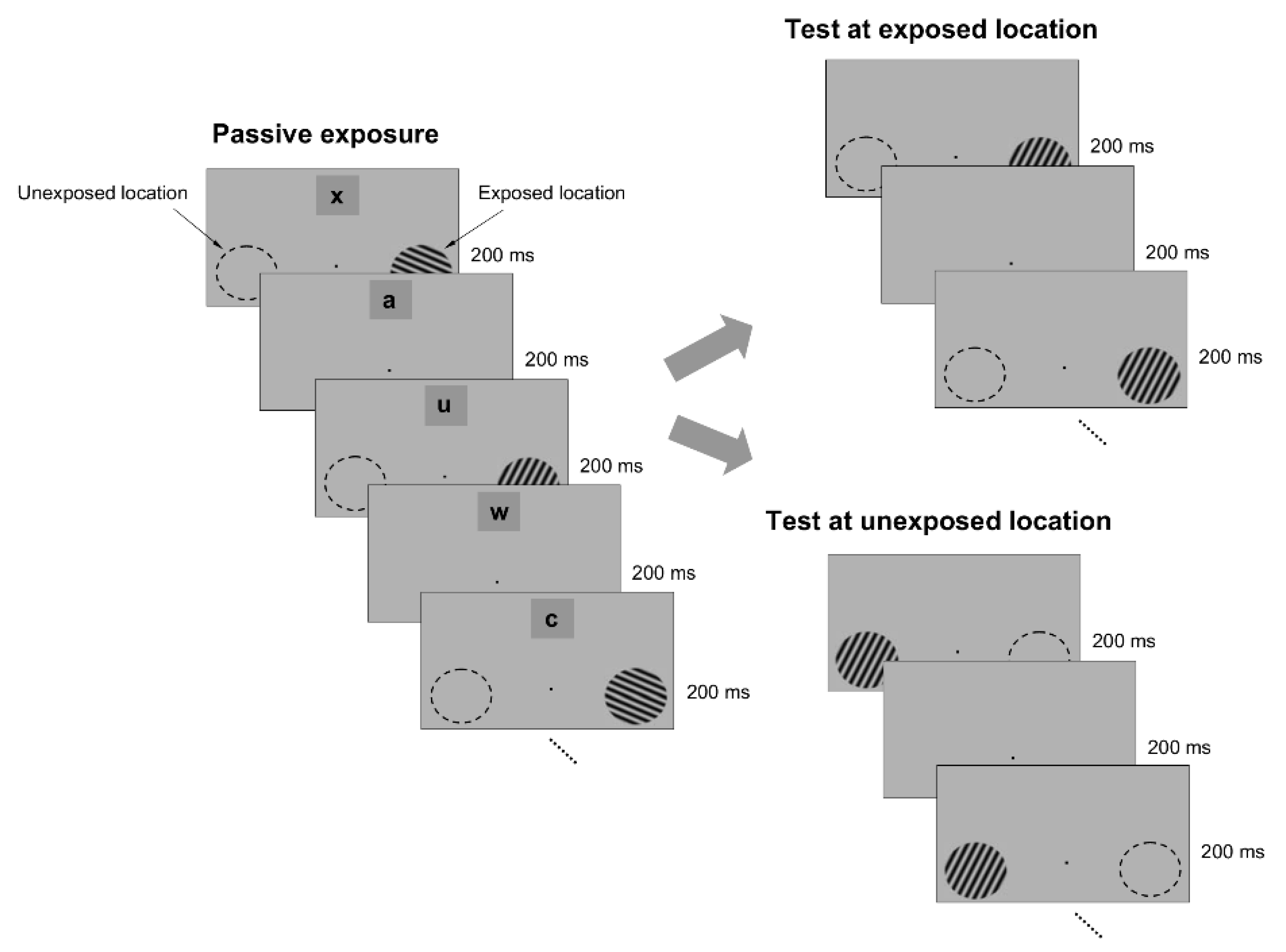 Learning by Exposure in the Visual System