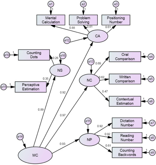 Discerning Developmental Dyscalculia and Neurodevelopmental Models of ...