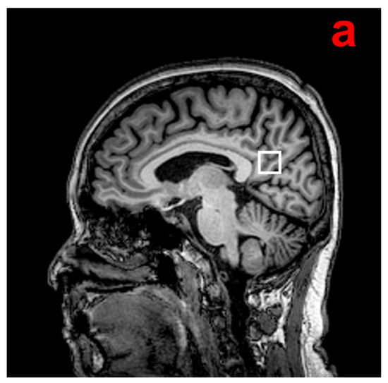 Applications of Biomedical Technology and Molecular Biological Approach ...