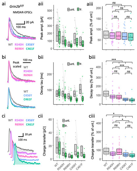 Synaptic Dysfunction by Mutations in GRIN2B: Influence of ...