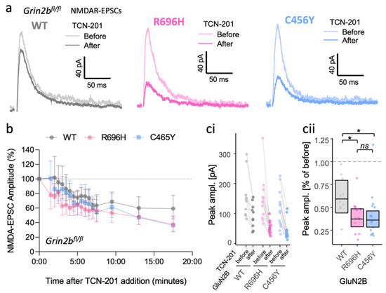 Synaptic Dysfunction by Mutations in GRIN2B: Influence of ...