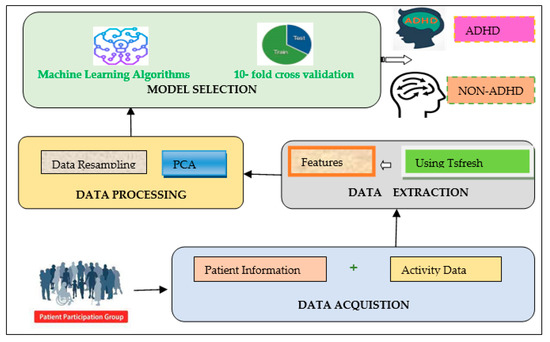 Brain Sciences | Free Full-Text | Accurate Identification of ADHD among ...