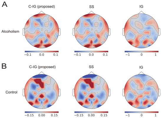 Compensated Integrated Gradients for Reliable Explanation of ...