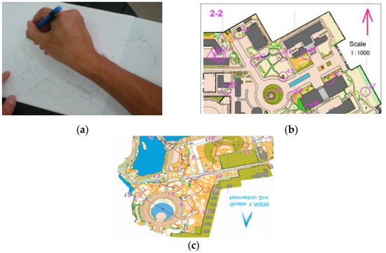 Shedding Light on the Effects of Orienteering Exercise on Spatial ...