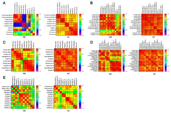 Brain Metabolic Connectivity Patterns in Patients with Prolonged ...