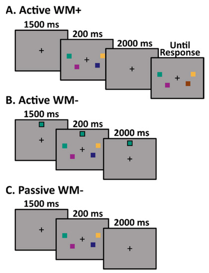 Is Cortical Theta-Gamma Phase-Amplitude Coupling Memory-Specific?
