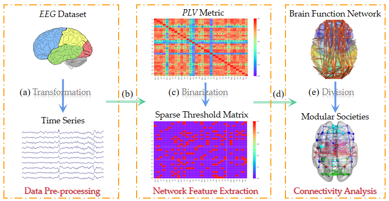 Brain Network Visualization Brain Network Visualization