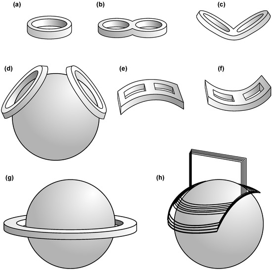 Devices and Technology in Transcranial Magnetic Stimulation: A ...