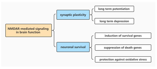 Targeting NMDA Receptors in Emotional Disorders: Their Role in ...