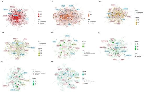 Gene Co-Expression Network Modular Analysis Reveals Altered Immune ...