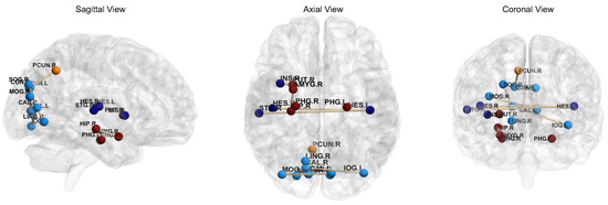 Resting-State Functional MRI Adaptation with Attention Graph ...
