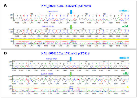 Whole-Exome Sequencing Reveals Migraine-Associated Novel Functional ...
