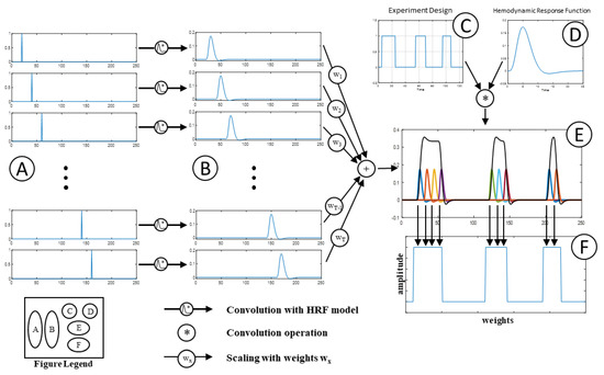 Visualization of the Dynamic Brain Activation Pattern during a Decision ...