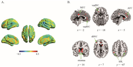Investigating the Neural Bases of Risky Decision Making Using Multi ...