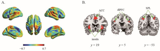 Investigating the Neural Bases of Risky Decision Making Using Multi ...