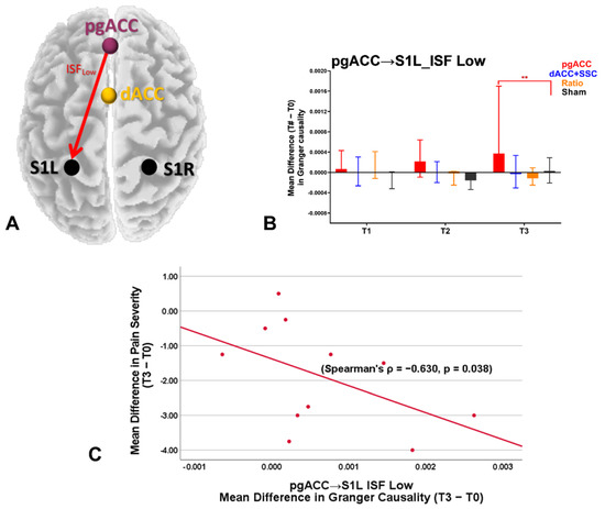 Infraslow Neurofeedback Training Alters Effective Connectivity in Individuals with Chronic Low ...