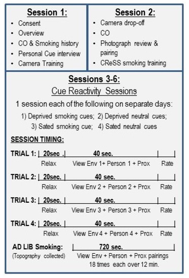 Brain Sciences | Free Full-Text | Smokers’ Self-Report and Behavioral ...