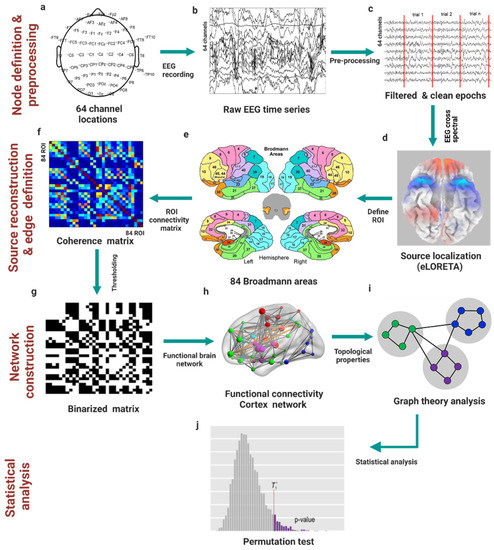 Brain Network Visualization Brain Network Visualization