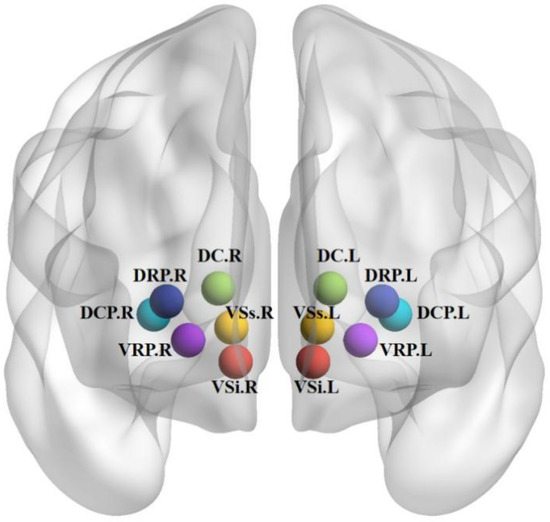 Characterization of Resting-State Striatal Differences in First-Episode ...
