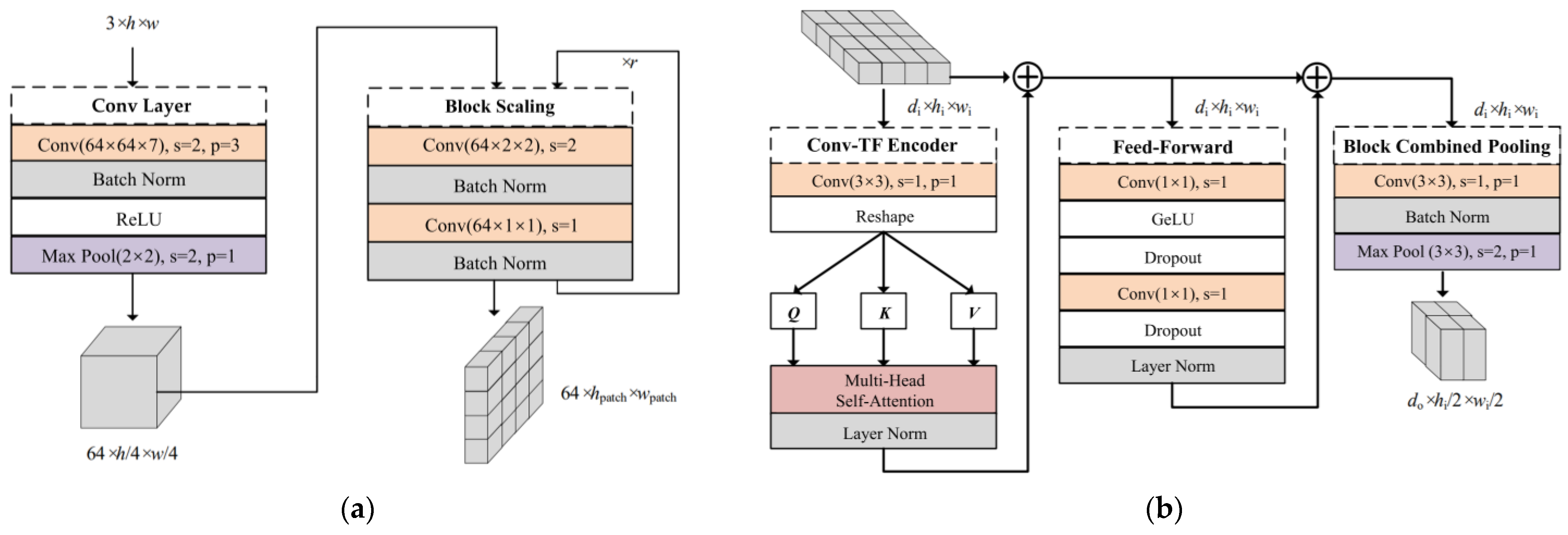 Brain Sciences | Free Full-Text | FER-PCVT: Facial Expression ...