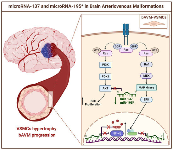 Brain AVMs-Related microRNAs: Machine Learning Algorithm for Expression ...