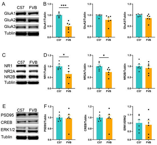 High Morphine Use Disorder Susceptibility Is Predicted by Impaired ...