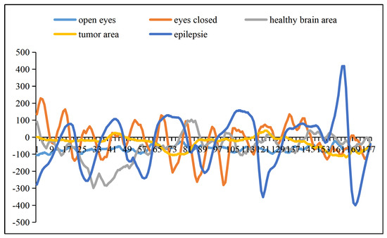 DSCNN-LSTMs: A Lightweight and Efficient Model for Epilepsy Recognition