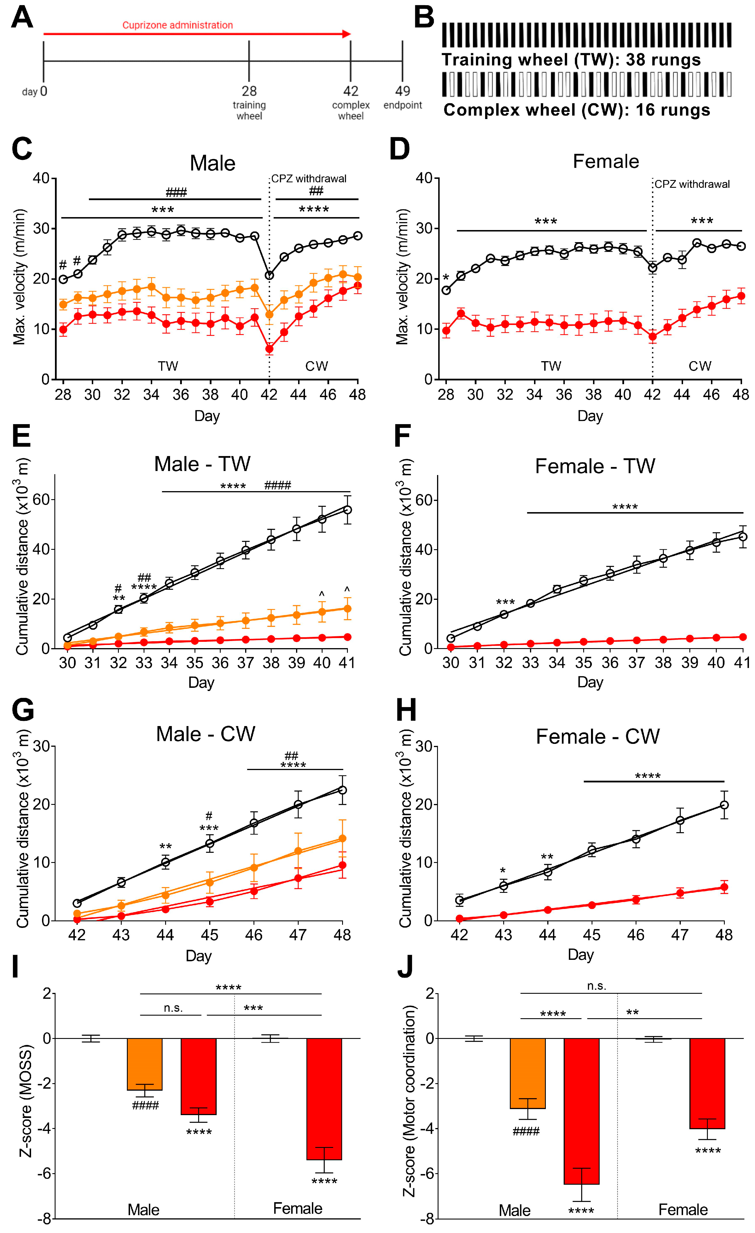 Sex Differences in the Behavioural Aspects of the Cuprizone-Induced ...