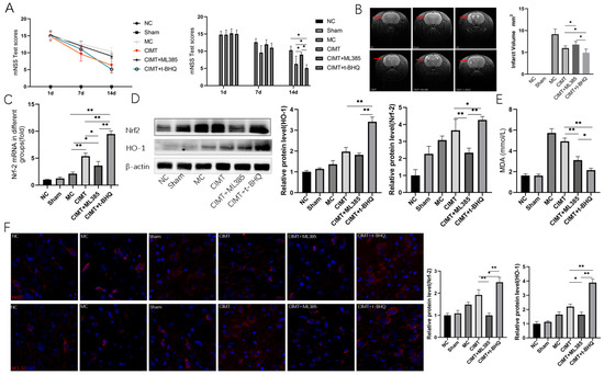 Comparison of the Effects of Constraint-Induced Movement Therapy and ...