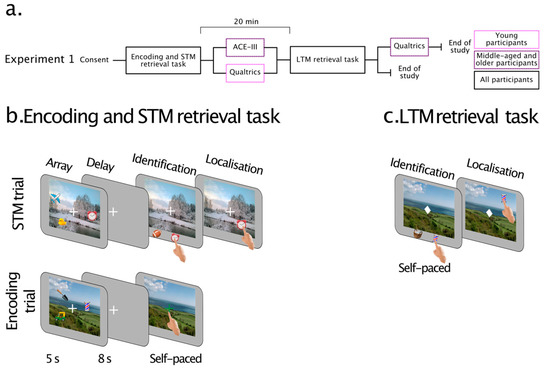 The Relationship between Short- and Long-Term Memory Is Preserved ...