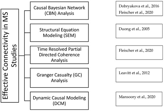 Graph-Based Analysis of Brain Connectivity in Multiple Sclerosis Using Functional MRI: A ...