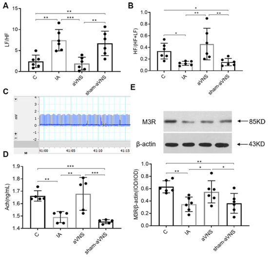 Auricular Vagus Nerve Stimulation Improves Visceral Hypersensitivity ...