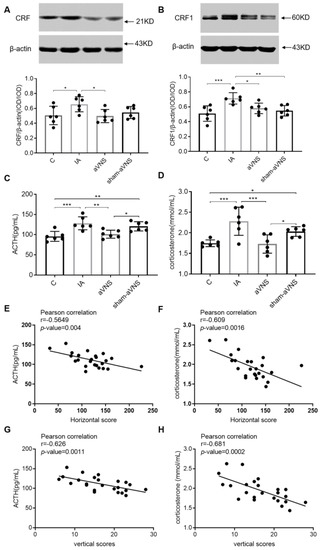 Auricular Vagus Nerve Stimulation Improves Visceral Hypersensitivity ...
