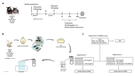 Beneficial Effects of Rosmarinic Acid In Vitro and In Vivo Models of ...