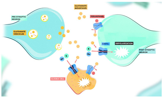 Brain Sciences | Free Full-Text | Perampanel in Brain Tumor-Related ...
