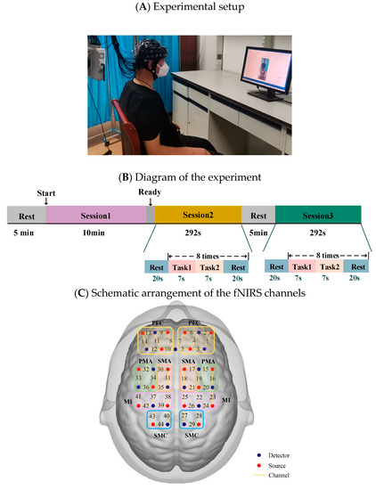 Stroke-Related Alterations in the Brain’s Functional Connectivity ...