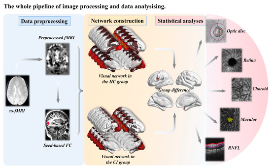 Applying Retinal Vascular Structures Characteristics Coupling with ...