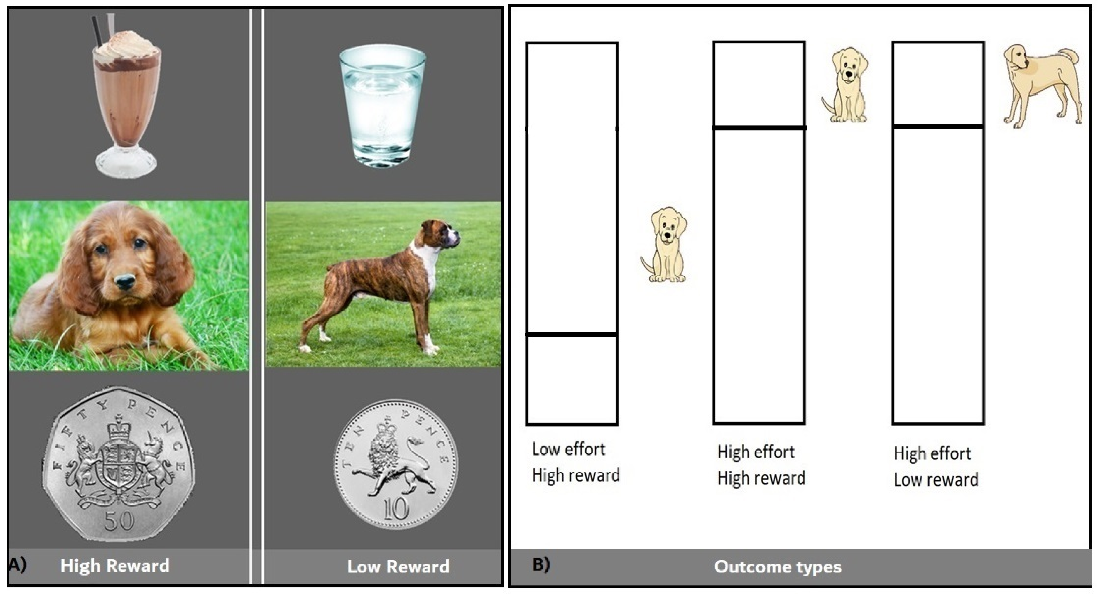Anhedonia in Relation to Reward and Effort Learning in Young People ...