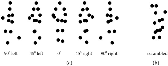 Figure–Ground Segmentation and Biological Motion Perception in ...
