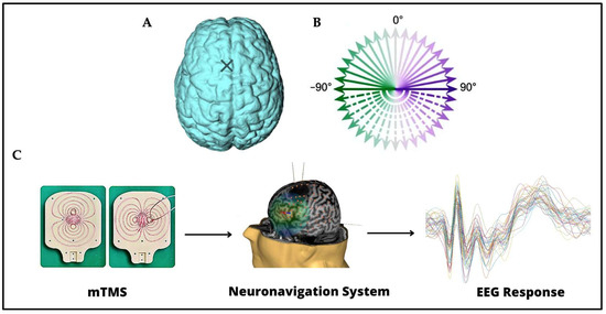 TMS-Induced Modulation of EEG Functional Connectivity Is Affected by ...